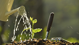 Increase your contribution rate today